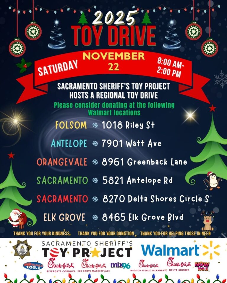 2025 Holiday Toy Drive - Toy Project